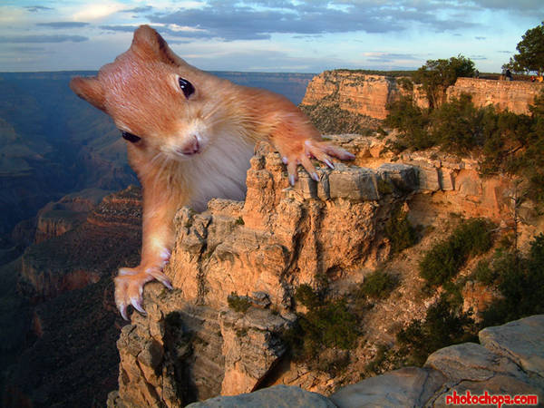 PTP: Chipmunk Attack