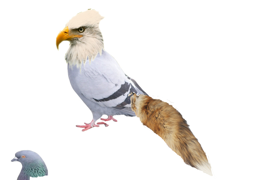 Heather: Guard Animals...