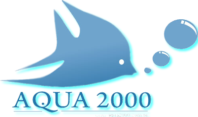 Aqua 2000: 51 dicas para manter seu aquario