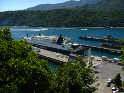 Sabbatical Travels: How to Take the New Zealand Interisland Ferry