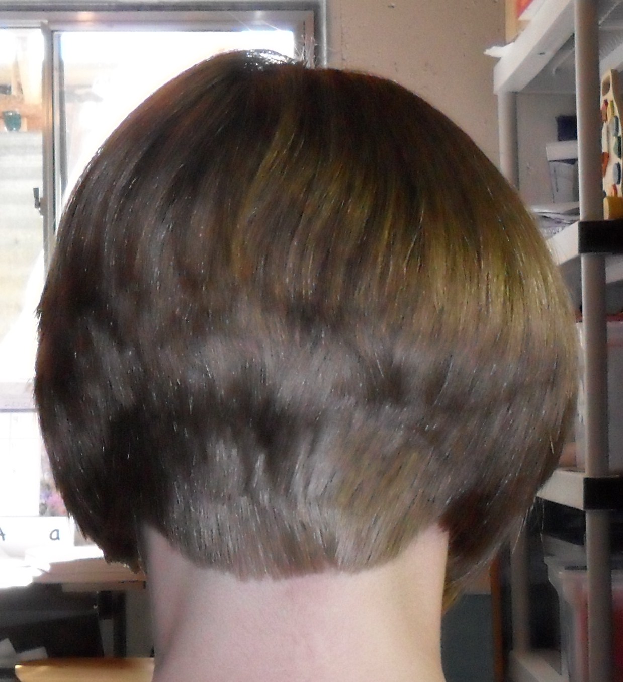 Female Haircut Great Clips - The Winterbottoms: Hair Cuts for Both the ...