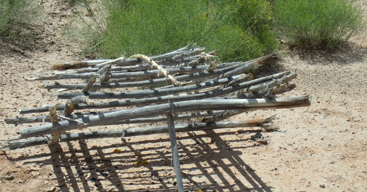 Sword Of Survival: The Box Trap