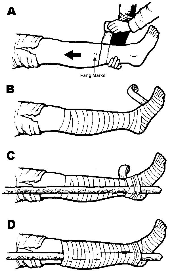 Sword Of Survival: Snake Bites