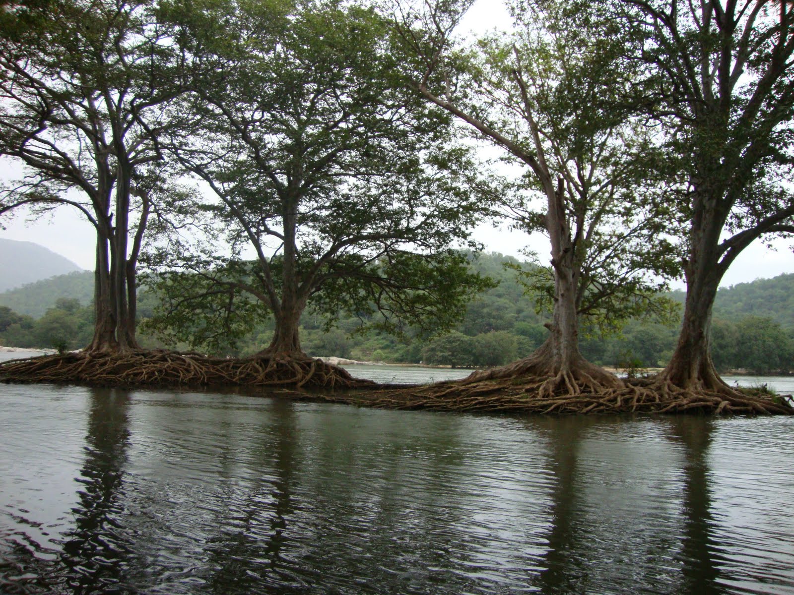 My World: Muthathi - A day of fun