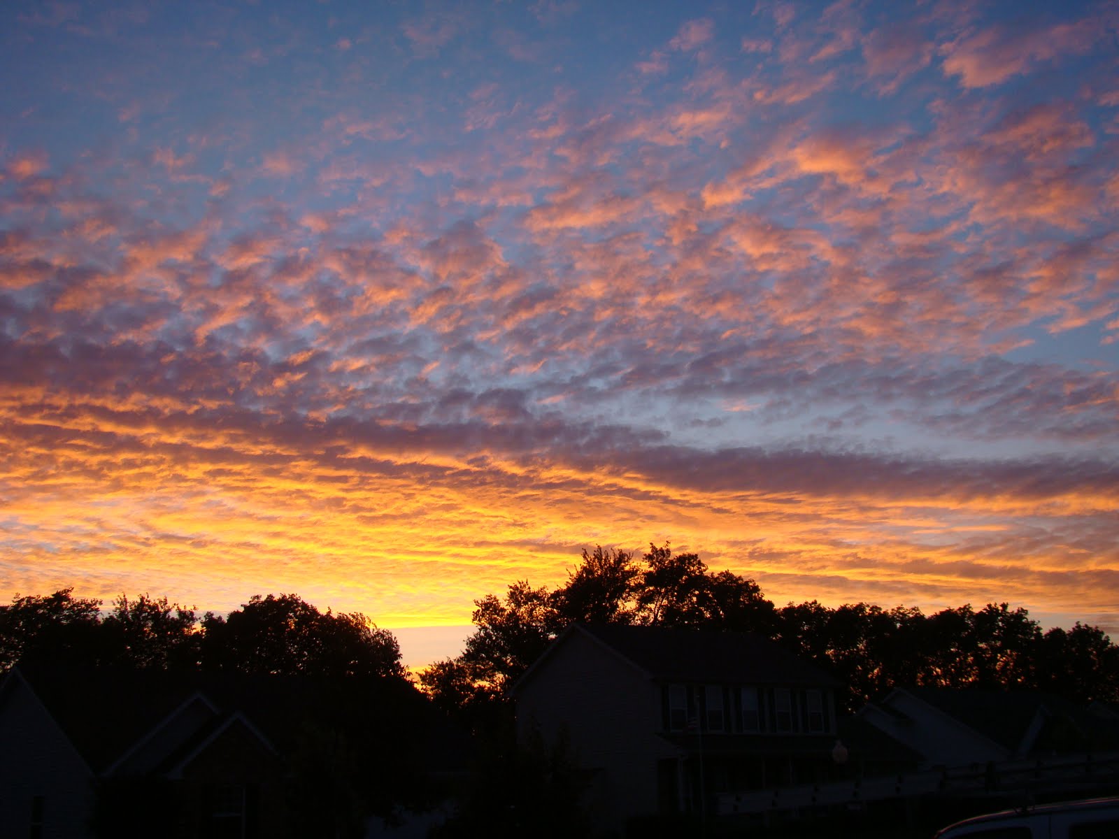 The Rood Photo Challenge