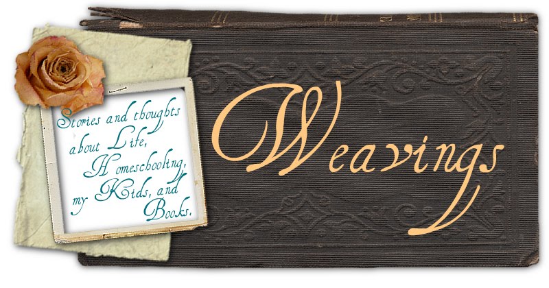 Weavings A Bible Study Guide For All Ages Beginner Level TOS Review weavings-a-bible-study-guide-for-all-ages-beginner-level-tos-review