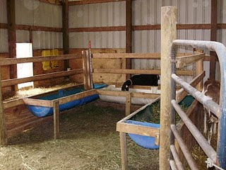 Ohiofarmgirl's Adventures In The Good Land: Goat-a-palooza...More on ...