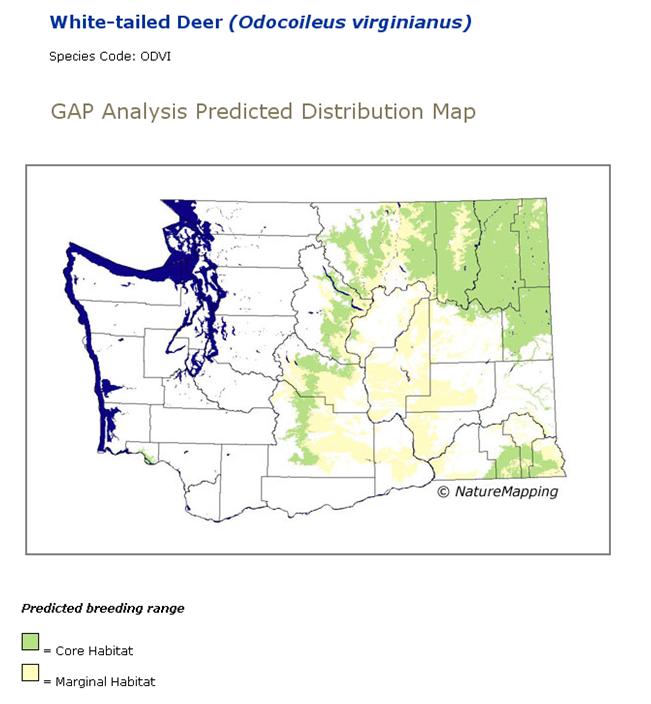 Washington Precipitation Map