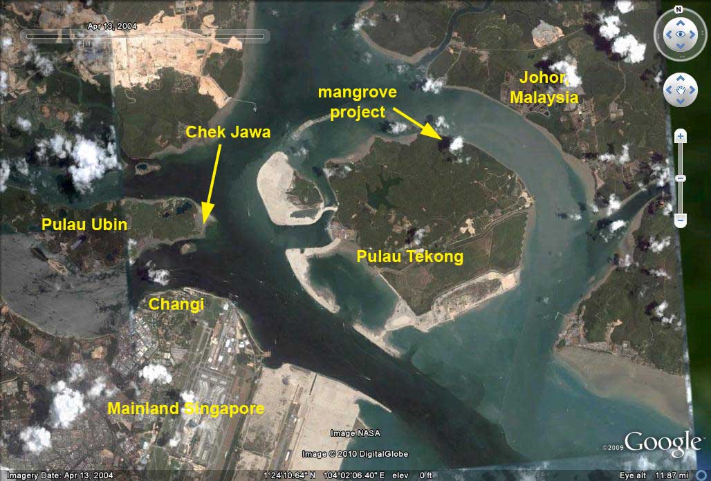 wild shores of singapore: Saving Singapore's last best mangroves at ...