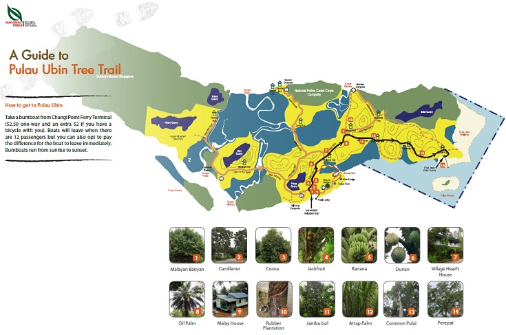 Celebrating Singapore's BioDiversity!: DIY walking guides issued by NParks