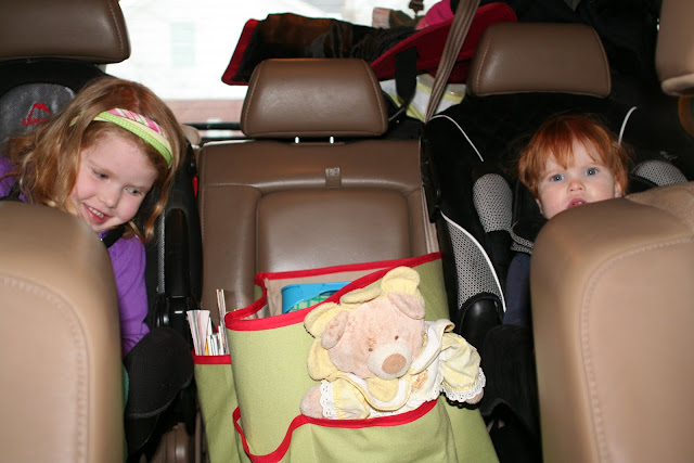 Hippos and Dinosaurs: Car Basket Tutorial