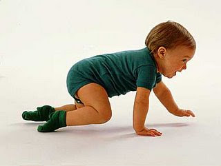 El Gateo y sus beneficios.: EL GATEO Y SUS BENEFICIOS.