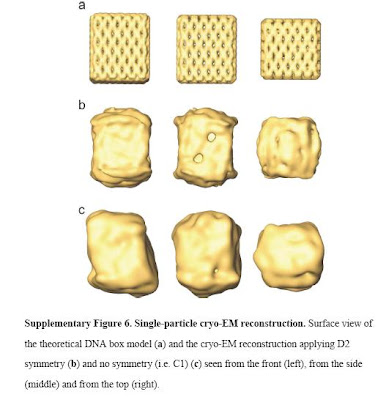 nanoparticle drug delivery: DNA Boxes Could Deliver Drugs
