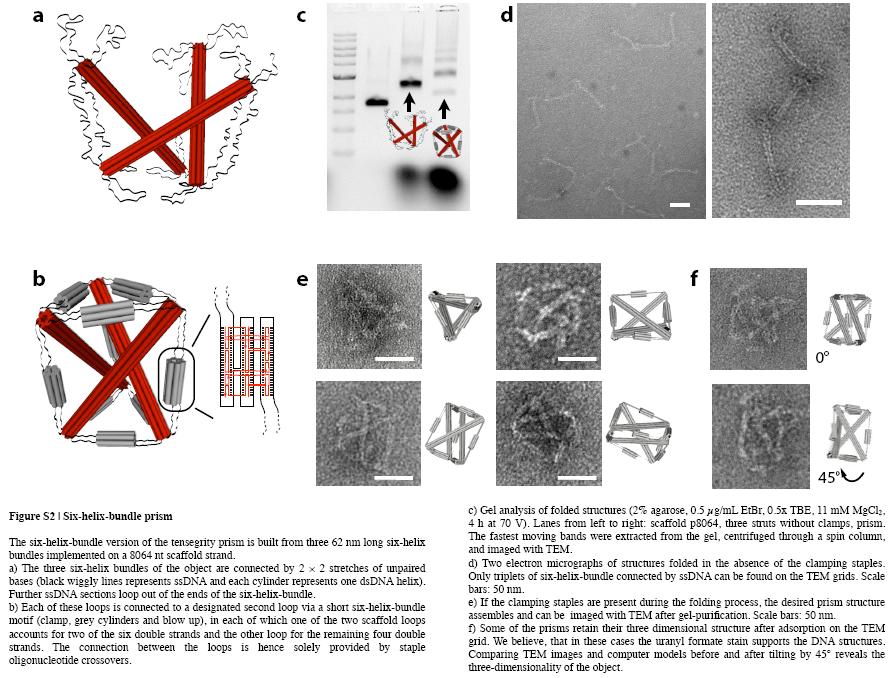 Self Assembled DNA That Can Change Shape and Move on Demand ...