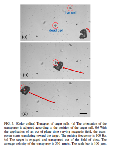 Single Cell Manipulation using Ferromagnetic Composite ...
