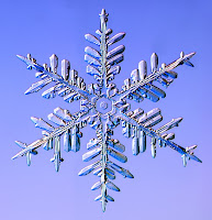 detritus.: let it snow let it snow let it snow