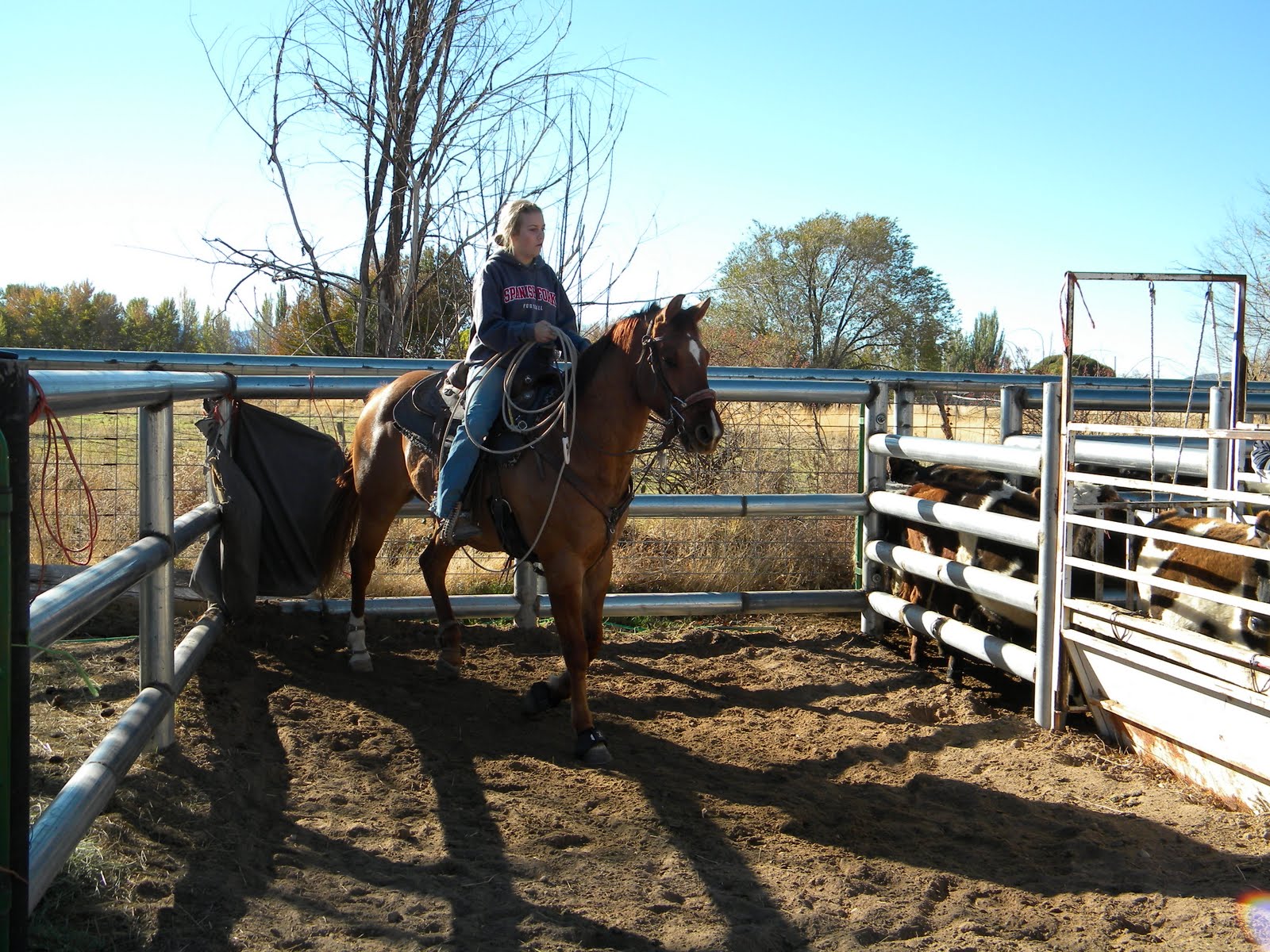 Rodeo Moms Club: November 2009