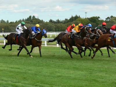 Woolshed 1: Animal behaviour and welfare: Horse Part 5