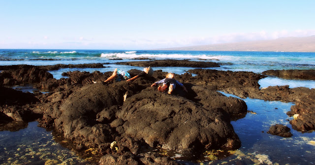 Zach Aboard: Turtle Tide Pool