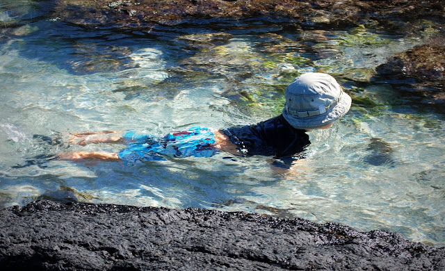 Zach Aboard: Turtle Tide Pool