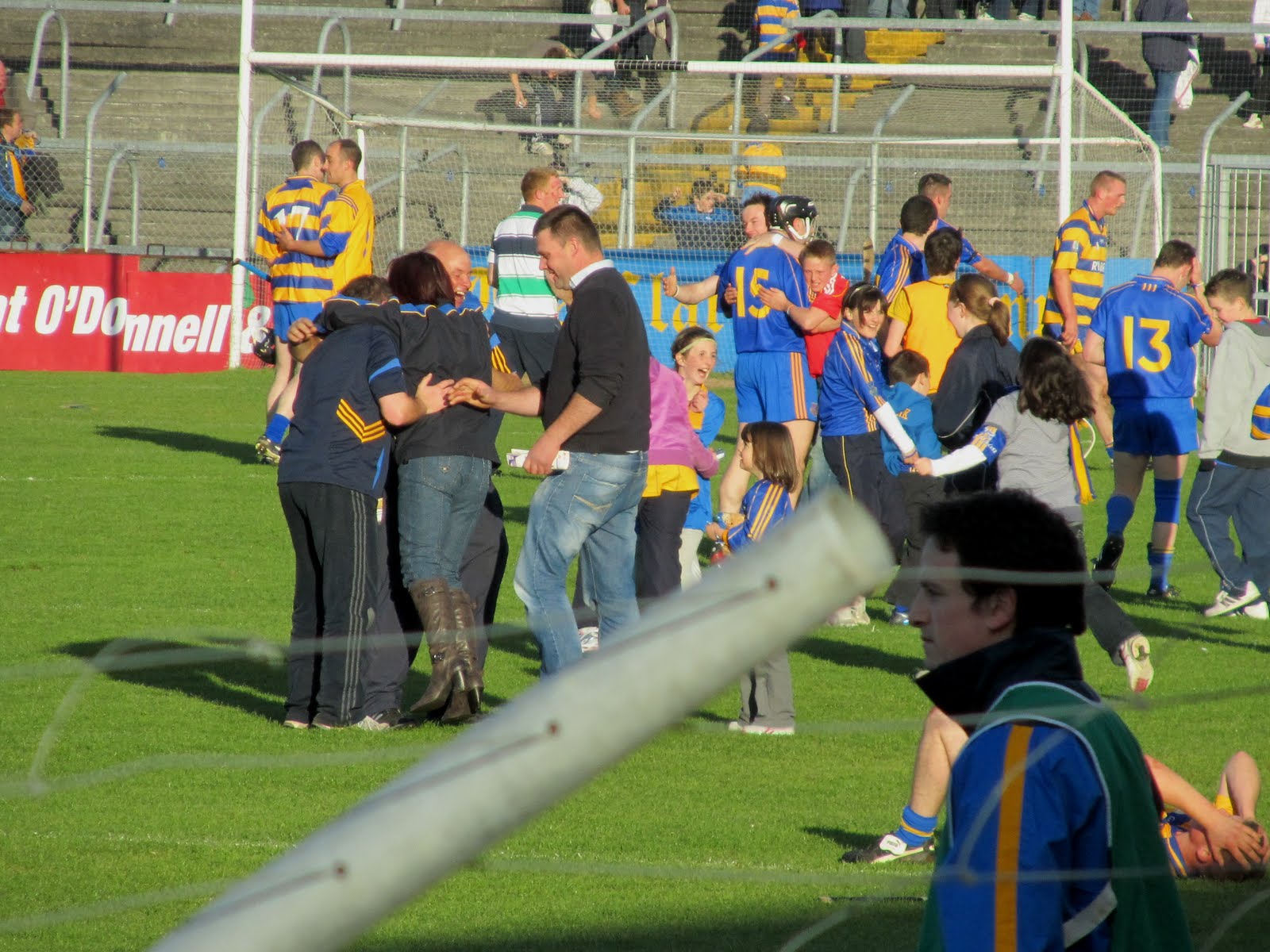 BT - The Crafty Gardener: Hurling - Ruan v Killanena Final. Moon Photos.