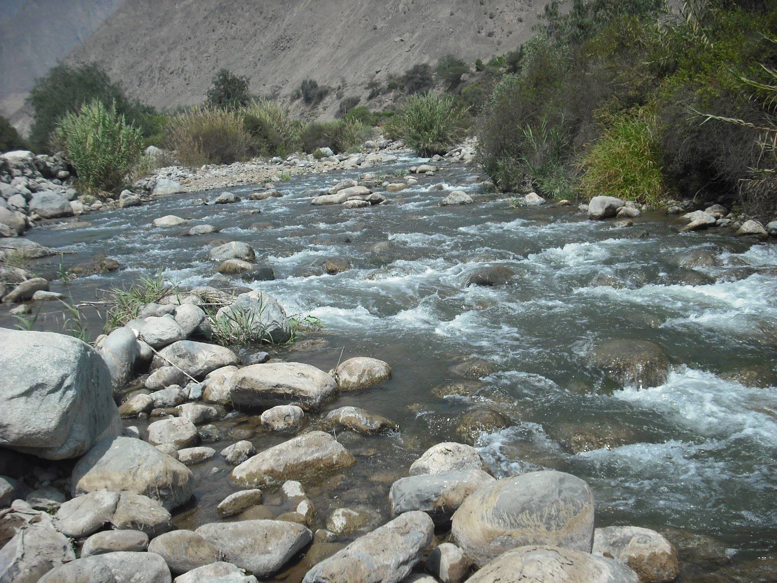 Bioturismo "Naturaleza": Yangas-Camping House