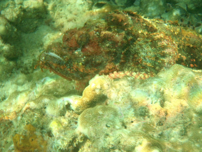 Genny et Marc en Asie!: 2008-12-14