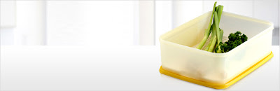 Tupperware Brands: MODULAR KEEPER WITH GRID