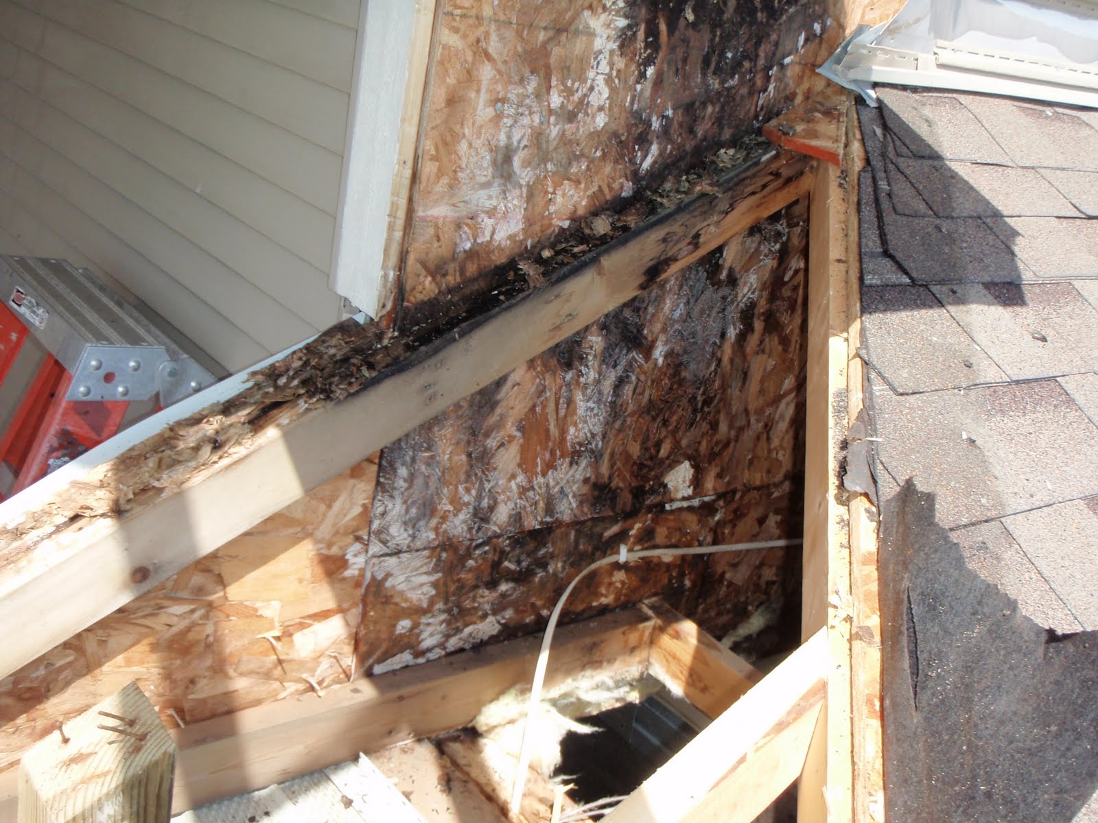 ICE DAMS: ICE DAMS - Causes, Removal, Damage, Prevention