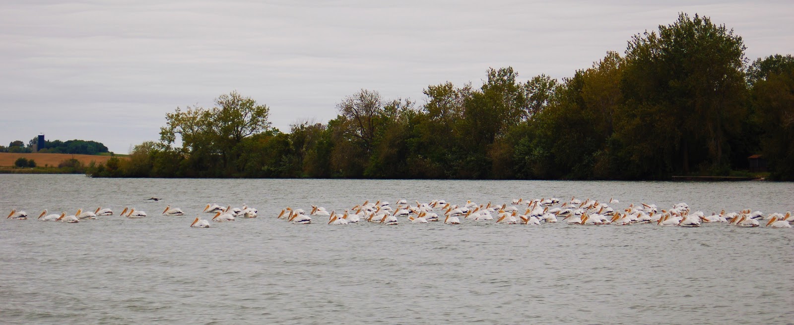 Silver Lake in Palo Alto County ~ Iowa