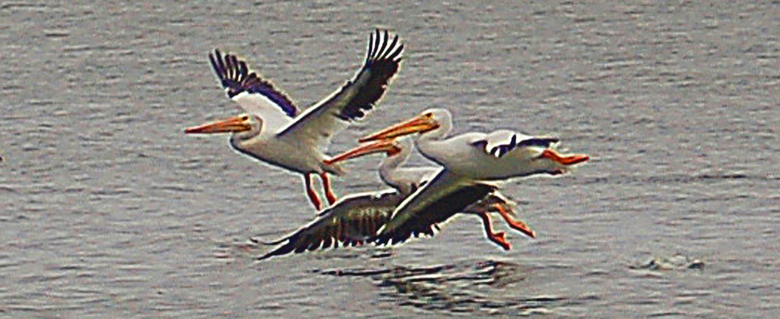 Silver Lake in Palo Alto County ~ Iowa