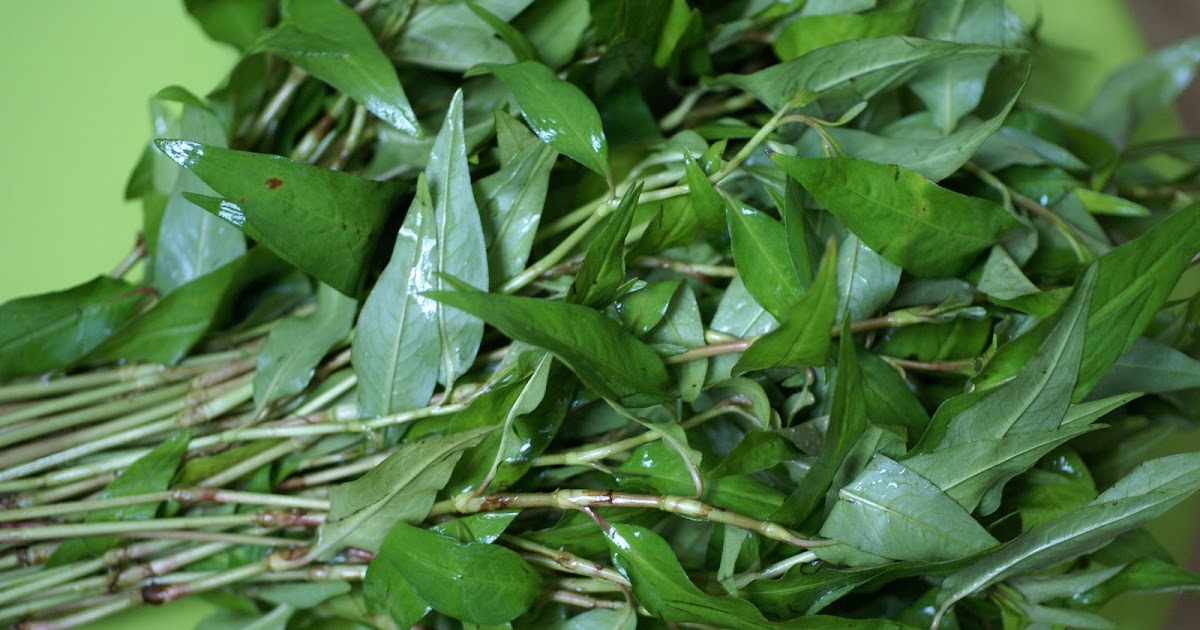 Ange's Follies: Laksa Leaves