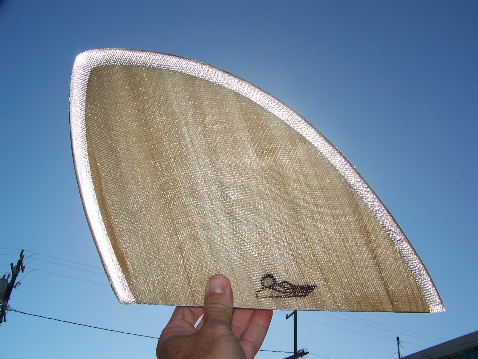 Wegener's Finless Frontier: Some new fins