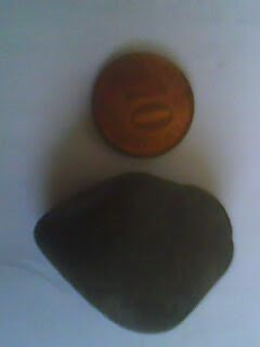 JOVE REX AL: fossilized "talisay" nut