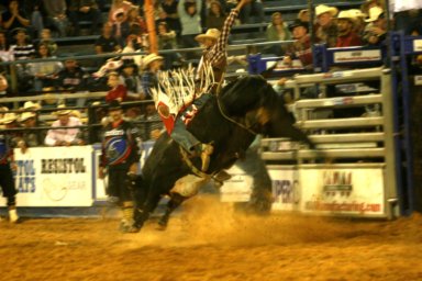 Indians and Cowboys Rodeo News: Making It In The CBR-Spud Jones