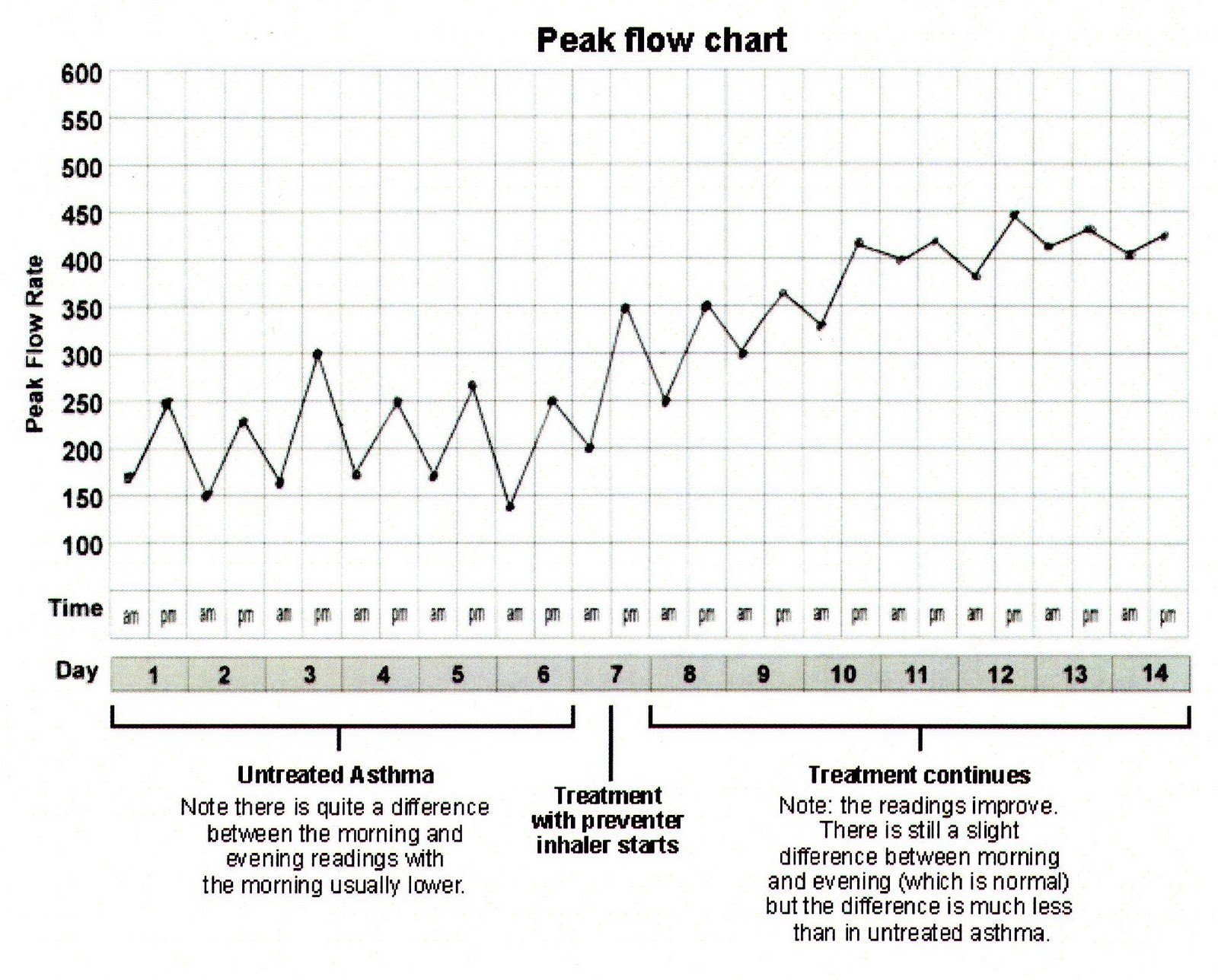From 0 to 26.2 (Again): October 2010