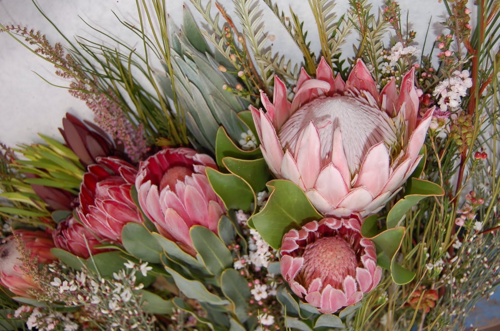 A Passion for Flowers