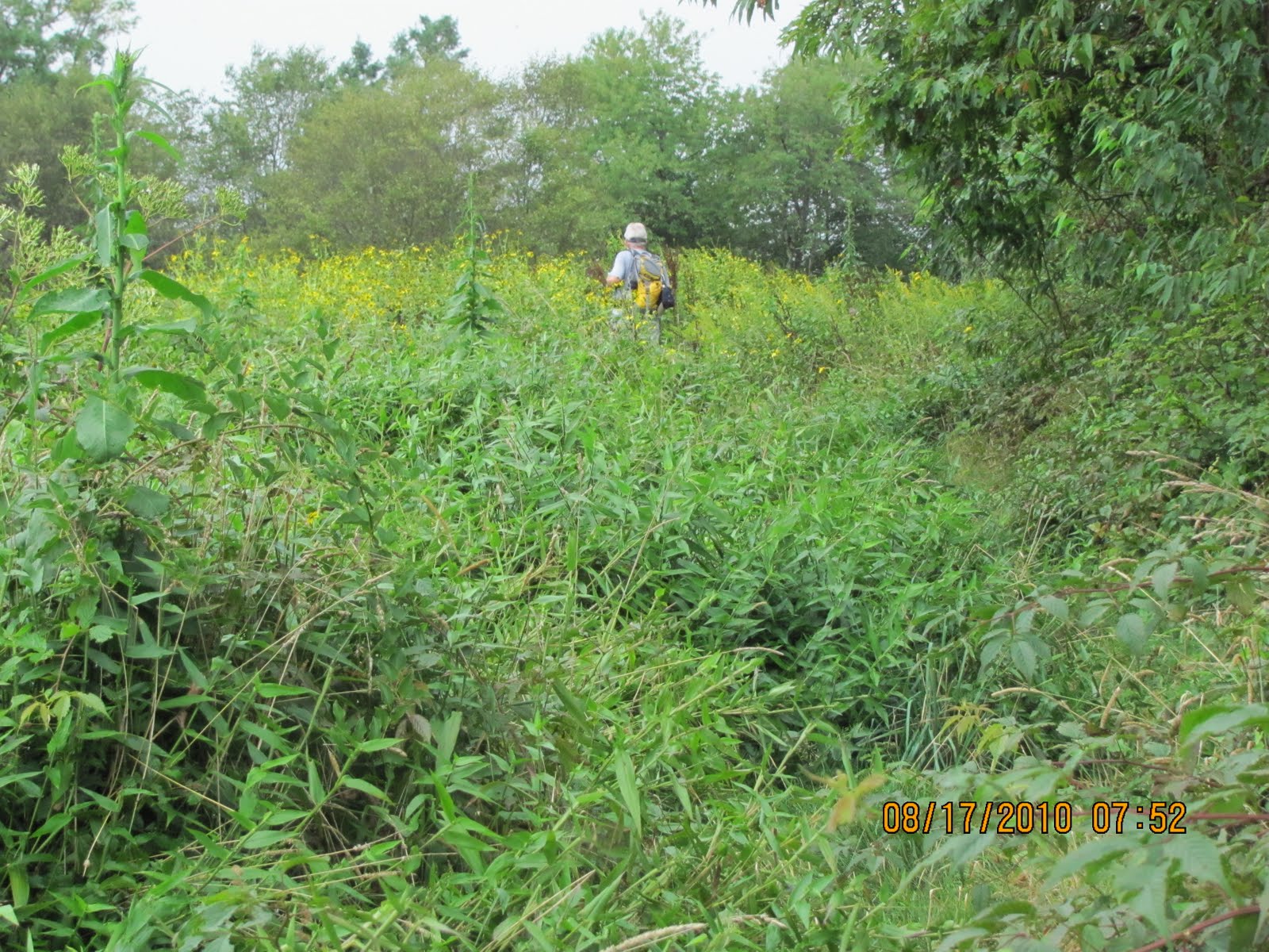 A Long Walk: Daily Diaries (8/17/10 - 8/18/10)