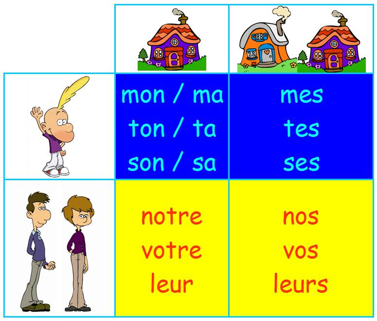 Cours de français: Les adjectifs possessifs (II)