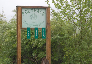Jon Criss' Blog: Polyface Farm