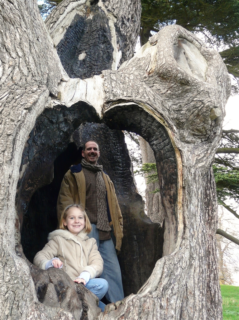 Thompsons Cross The Pond: In search of the Harry Potter Tree at ...
