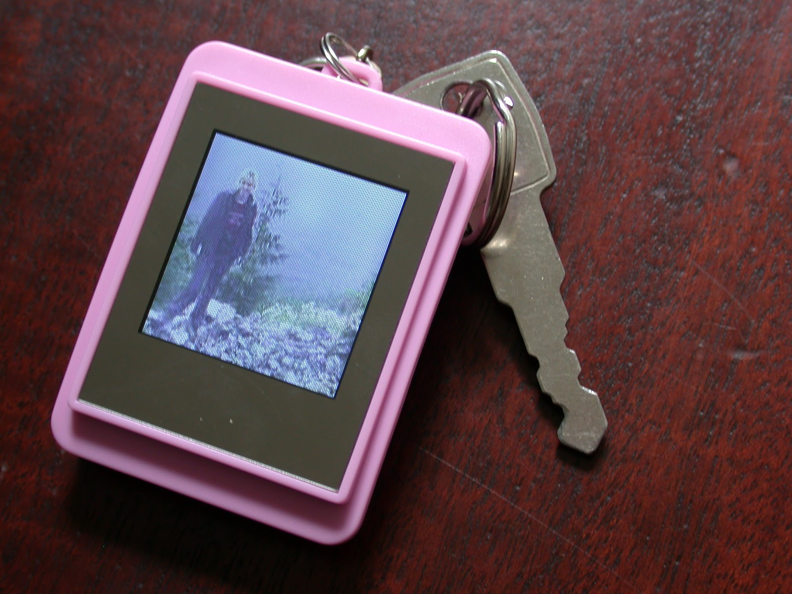 The Candid Reviewer: CLOSED Digital Photo Keychain {review + giveaway ...