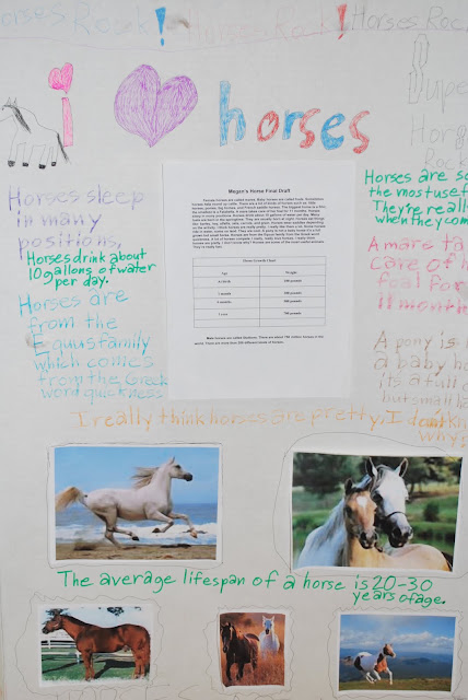 Mrs. Mathes 3rd/4th Graders: Animal Projects!