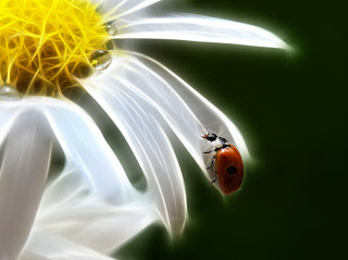 Sunt paradisul static...fac sa dispara norii...un inceput sfirsit ...