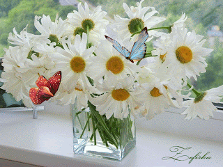 Sunt paradisul static...fac sa dispara norii...un inceput sfirsit ...