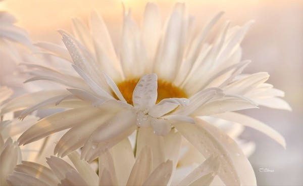 Sunt paradisul static...fac sa dispara norii...un inceput sfirsit ...