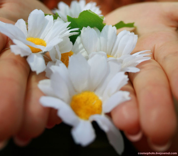 Sunt paradisul static...fac sa dispara norii...un inceput sfirsit ...