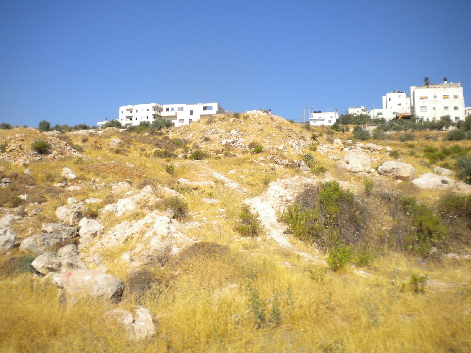 Alli in Palestine: The MOST salt