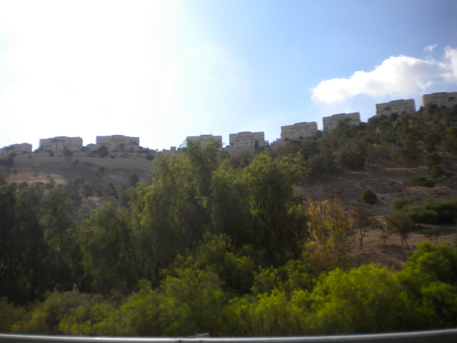 Alli in Palestine: The MOST salt