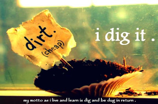 i dig it